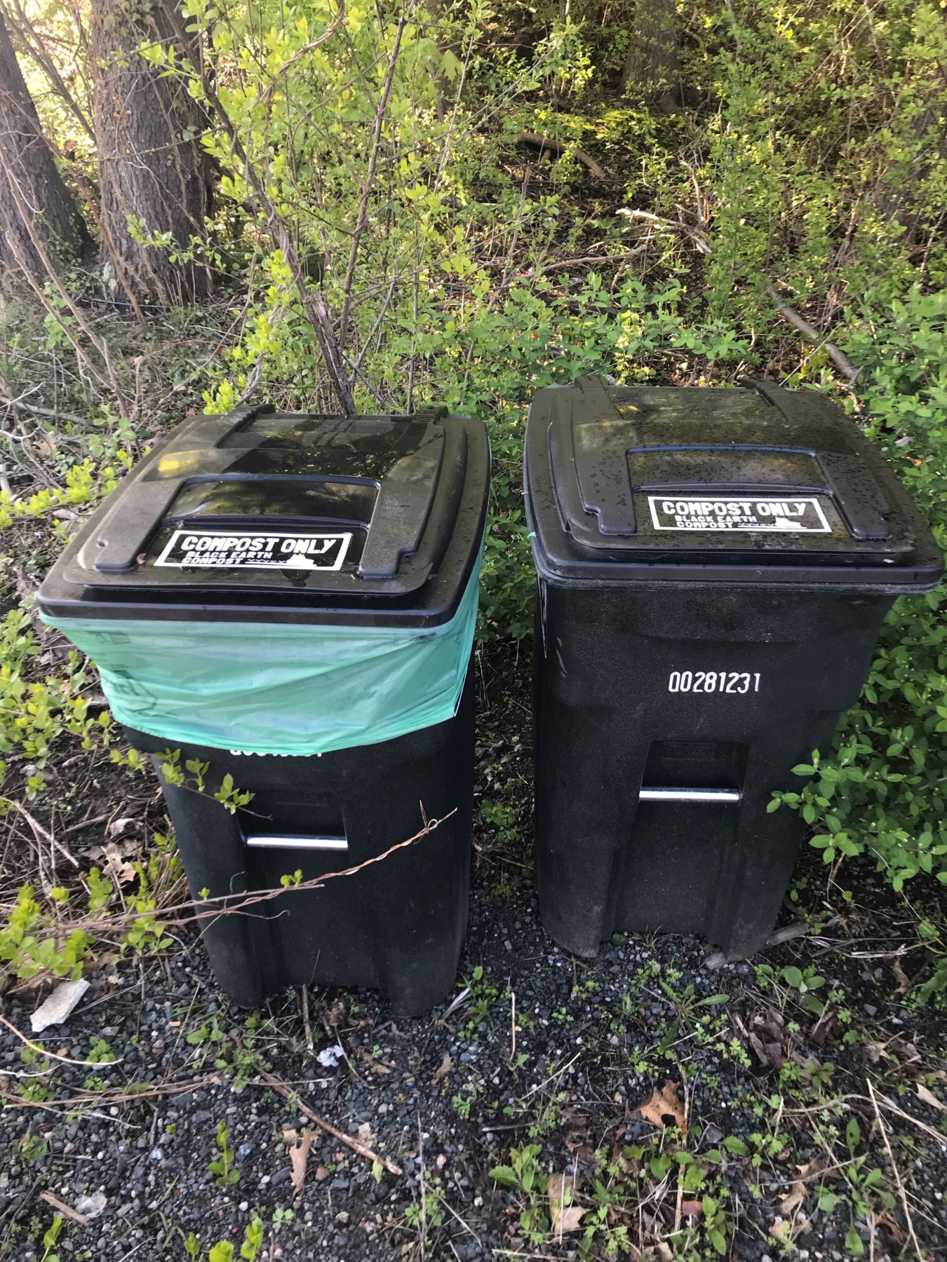 Compost - Green Salem